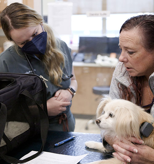 Juanita Hills Animal Hospital: Cara Veterinary - A part of Greater ...